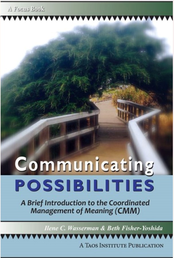 Focus Book Series - CMM Institute